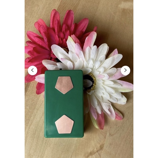 Máy Diệt Ký Sinh Trùng Terminator Zapper & T- rex Zapper Don Croft ...