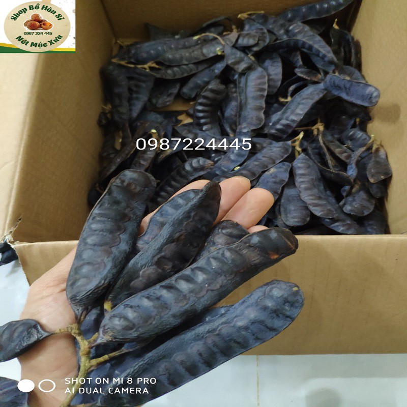 BỒ KẾT KHÔ VỤ MỚI (500g) HÀNG SẠCH MẨY ĐẸP TRÁI TO LỰA | Shopee Việt Nam