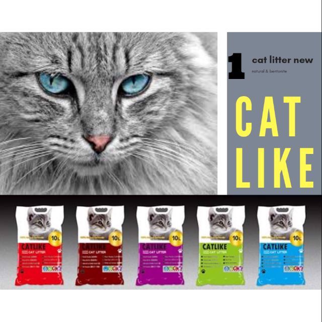 Catlike 9L Chính Hãng - Cát Vệ Sinh Cho Mèo (Đủ Mùi) | Shopee Việt Nam
