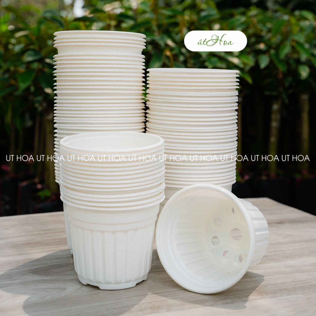 100 chậu nhựa Trắng T15 (15x12.5 cm) trồng hoa nhựa tốt | Shopee Việt Nam