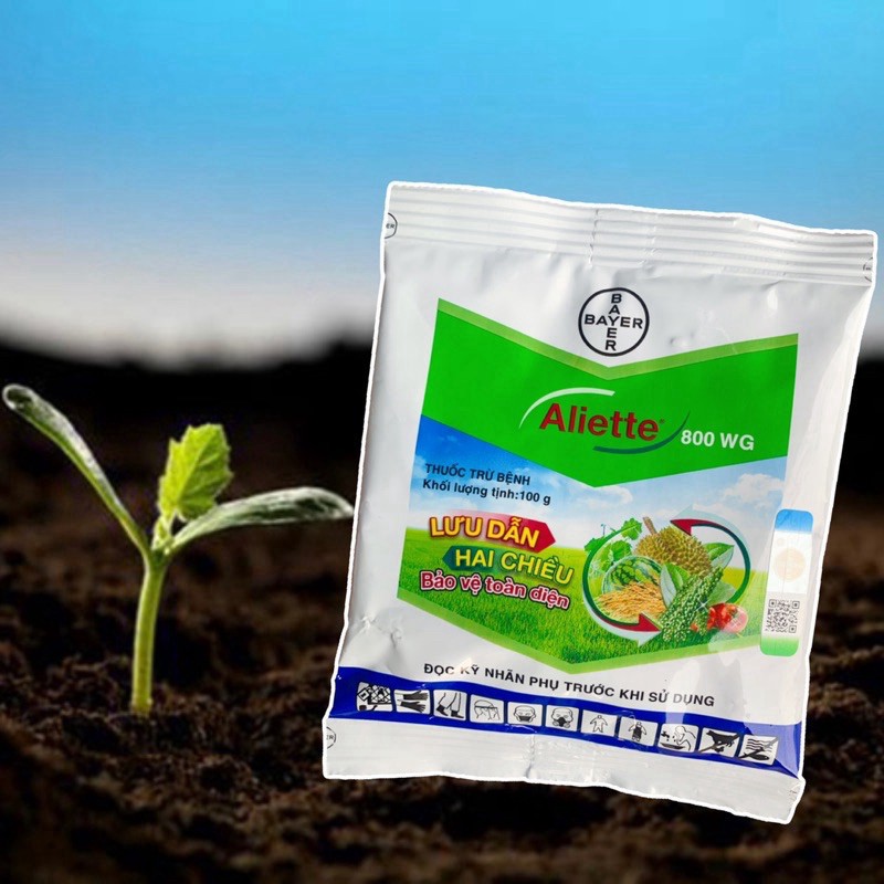 Thuốc Trị Thối Gốc, Rễ Aliette 800WG - VTNN Bắc Từ Liêm | Shopee Việt Nam