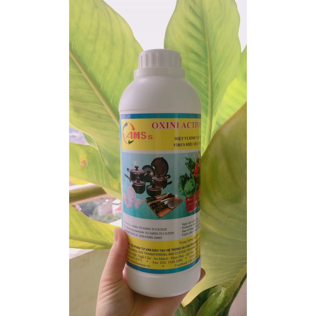 Dung dịch sát khuẩn rau củ quả Oxini Active A10 (Peracetic) | Shopee ...