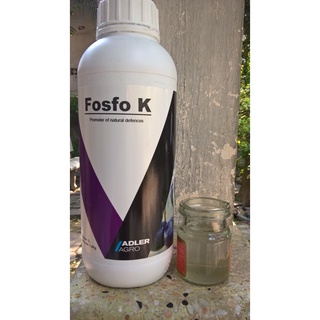 Phân bón nhập khẩu Fosfo K (Green Phos K) 1L | Shopee Việt Nam