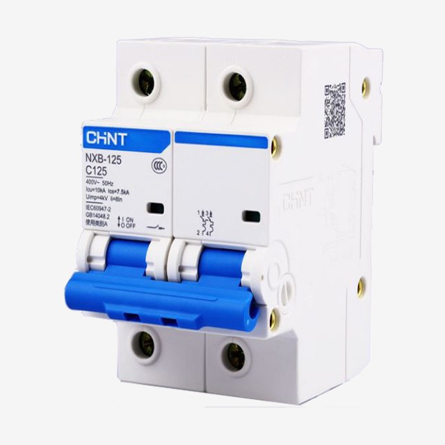 Cầu dao tự động ChinT NXB-125 2P 80A, 100A, 125A | Shopee Việt Nam