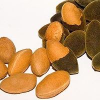 Trái xay rừng (say nhung) 2kg | Shopee Việt Nam