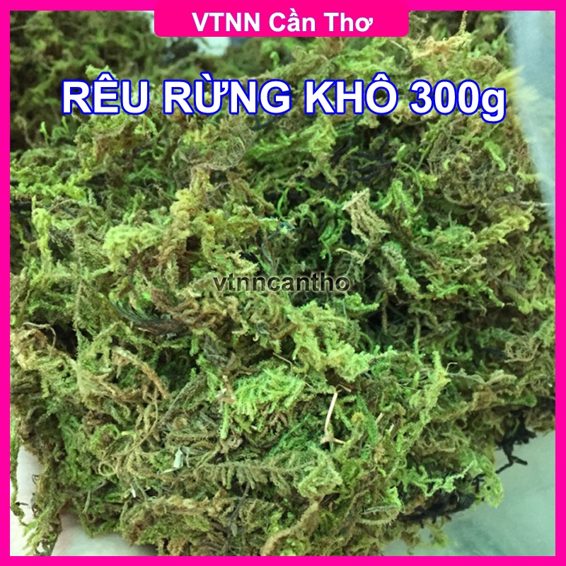 300g Rêu Rừng Khô Trồng Lan - VTNN Cần Thơ | Shopee Việt Nam