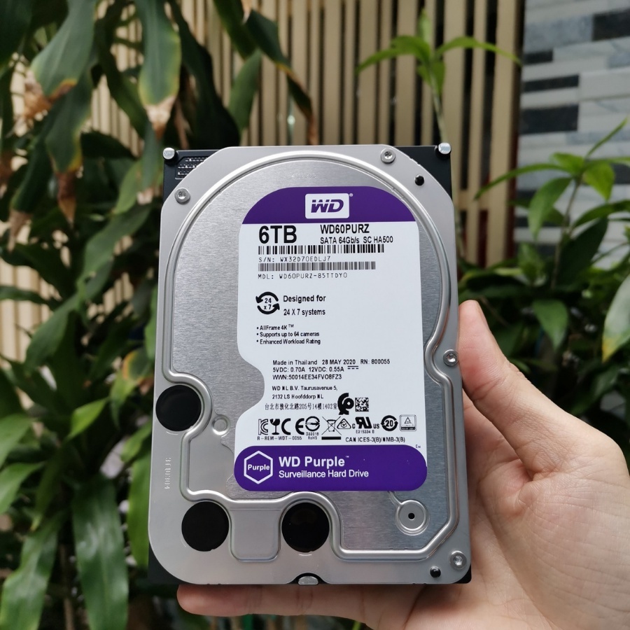 Ổ Cứng Western Digital Purple 6TB 64MB Cache (WD63PURZ) | Shopee Việt Nam