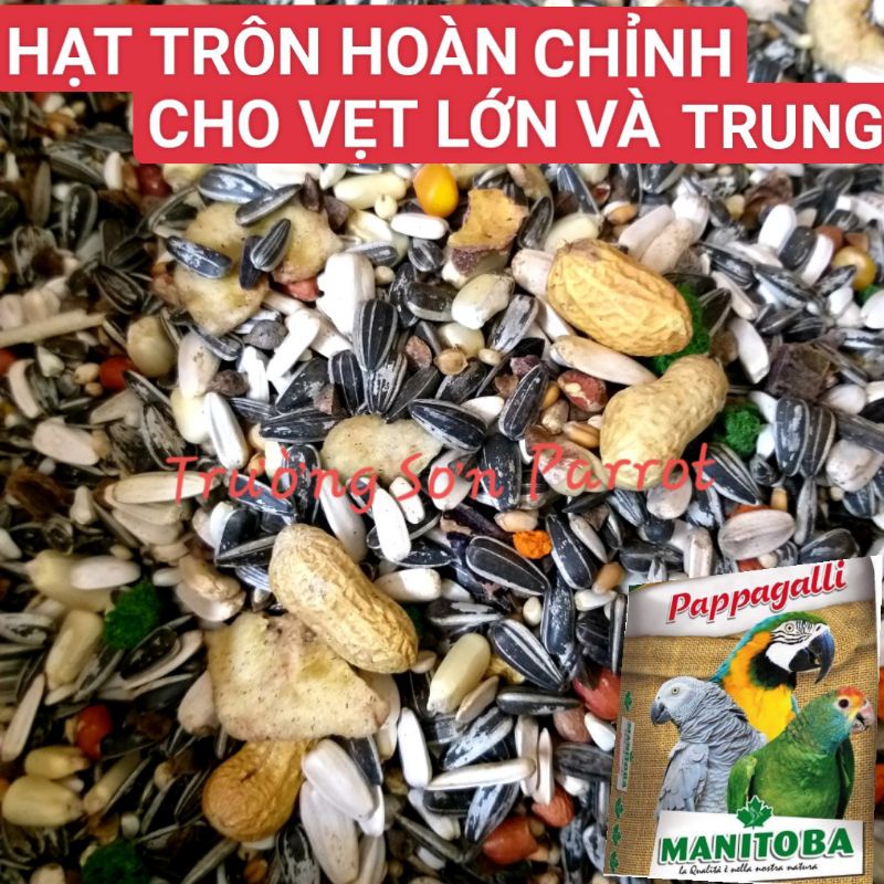 1kg Hạt trộn cho vẹt trung/ vẹt lớn PAPPAGALI của Manitoba (Ý) cho macaw, xám, amazon ...