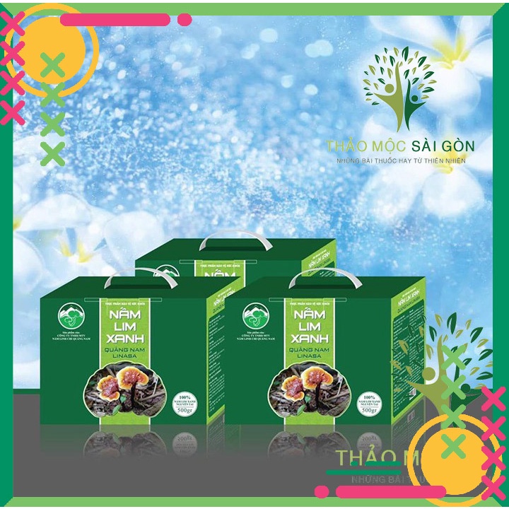 Nấm Lim Xanh LiNaSa tự nhiên ( Hộp 1kg, thái lát ) - Giải pháp bảo vệ ...