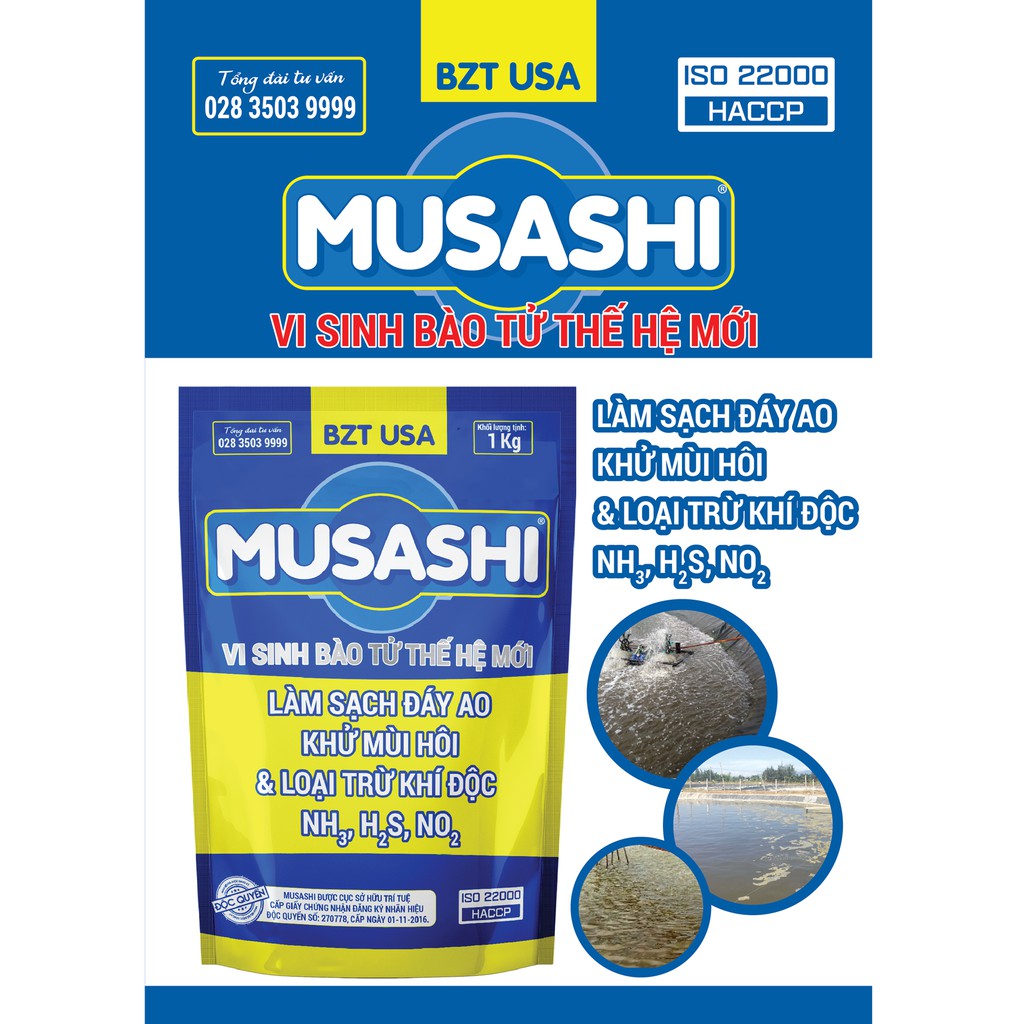 BZT USA - MUSASHI (Gói 1kg) | Shopee Việt Nam