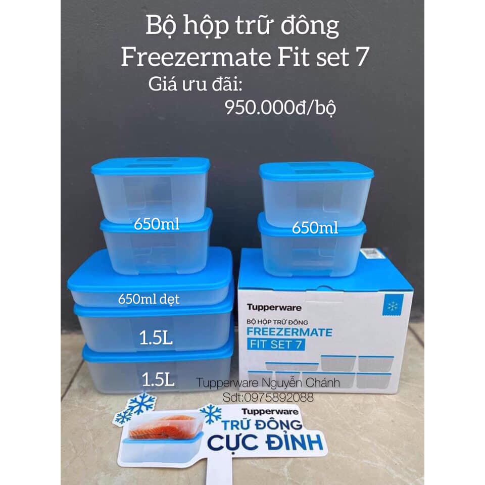 Tupperware - Bộ 7 hộp đông freezermate fit set 7 hộp | Shopee Việt Nam