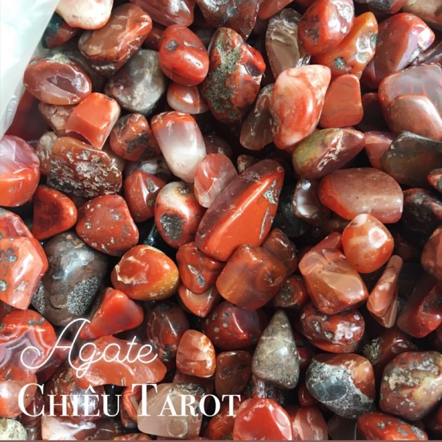 Red Agate | Shopee Việt Nam