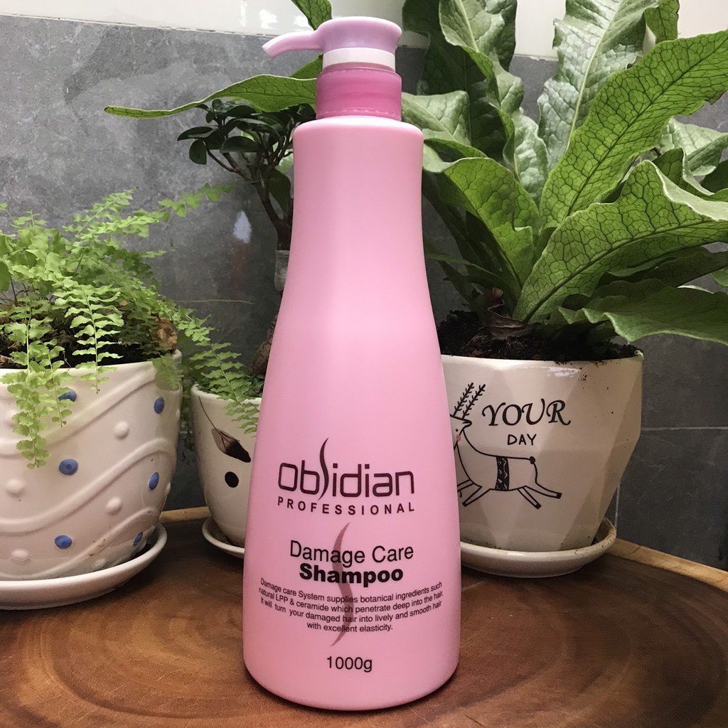 [Chính Hãng]💖💖Dầu gội tái tạo tóc Obsidian Damage Care Shampoo 1000ml | Shopee Việt Nam