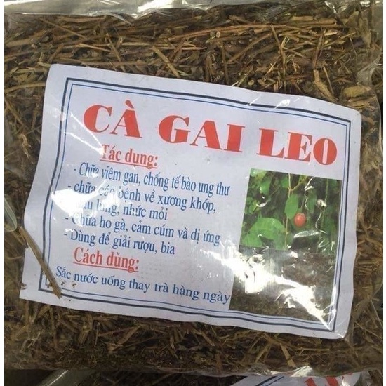 Cà Gai Leo 500g | Shopee Việt Nam