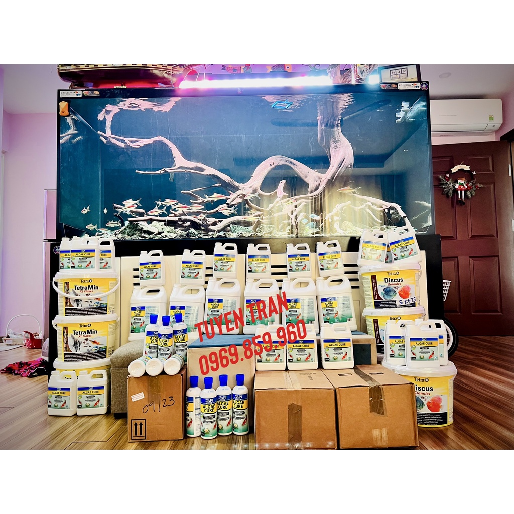 API ALGAE CURE POND- 250ml- Công nghệ Hóa Sinh phân huỷ phân cá, mùn bã ...