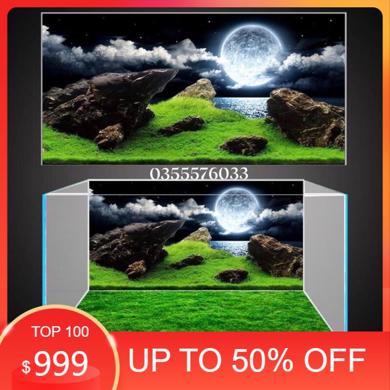 Tranh dán bể cá 3d nhiều kích thướt ( 60x40, 80x40, 80x50 , 90x50 ...