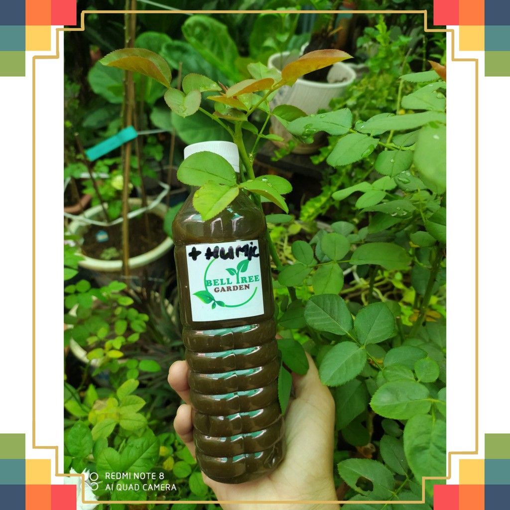 [HOT] Phân đỗ tương humic, chế phẩm đỗ tương humic, đậu nành lên men ...