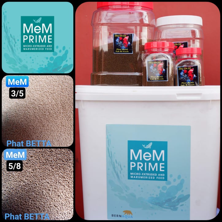 500 gram- 1 ký. Cám MEM PRIME nhập khẩu Bỉ. Thức ăn cho cá cao cấp ...