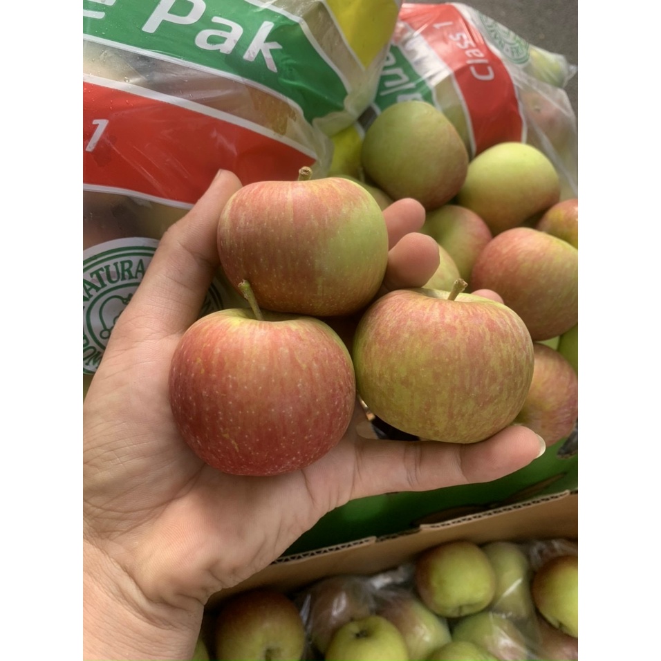 𝐓𝐀́𝐎 FUJI 𝐍𝐀𝐌 𝐏𝐇𝐈 𝐕𝐀𝐋𝐔𝐄 𝐏𝐀𝐊 (TÚI 𝟑𝐊𝐆) | Shopee Việt Nam