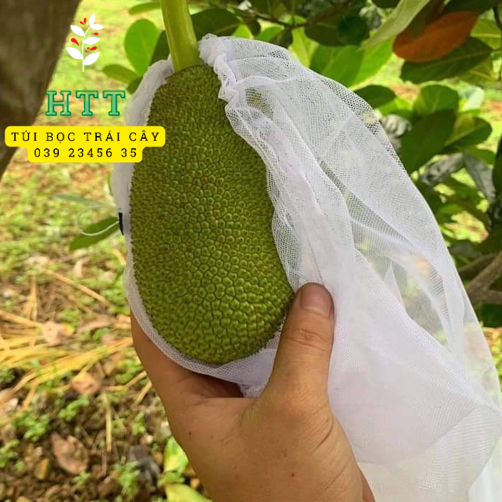 50 CÁI TÚI LƯỚI TỐT BAO BỌC MÍT THÁI KÍCH THƯỚC 50*70CM | Shopee Việt Nam