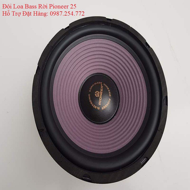 Loa Bass 25 Pioneer Cao Cấp Từ Kép Dùng Thay Thế, Đóng Loa Trung Tâm và Loa Kéo (2 Loa) | Shopee ...