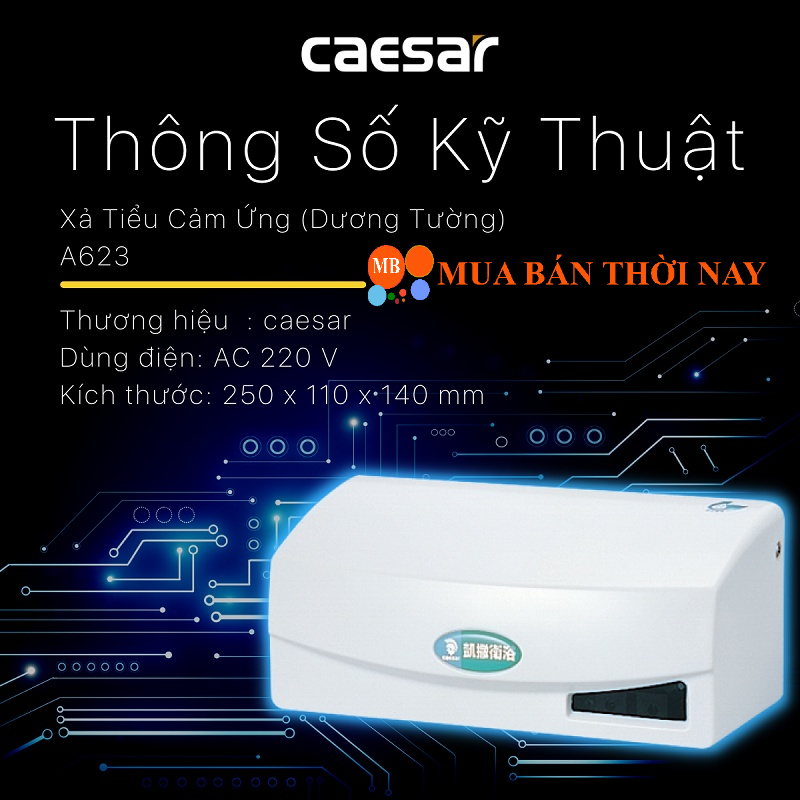 Bộ xả tiểu nam cảm ứng Caesar A623 dùng điện 220v | Shopee Việt Nam