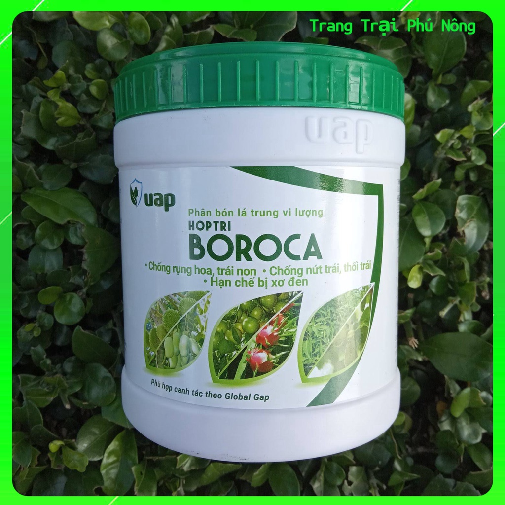Phân Bón Lá Boroca Hợp Trí - Hộp 500g - Chống rụng hoa, trái non, tăng ...