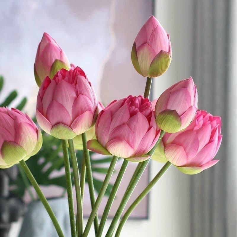 Hoa giả- Hoa Sen Giả -Sen quan âm loại cao cấp lá sẽ, đài sen giả, nhụy ...