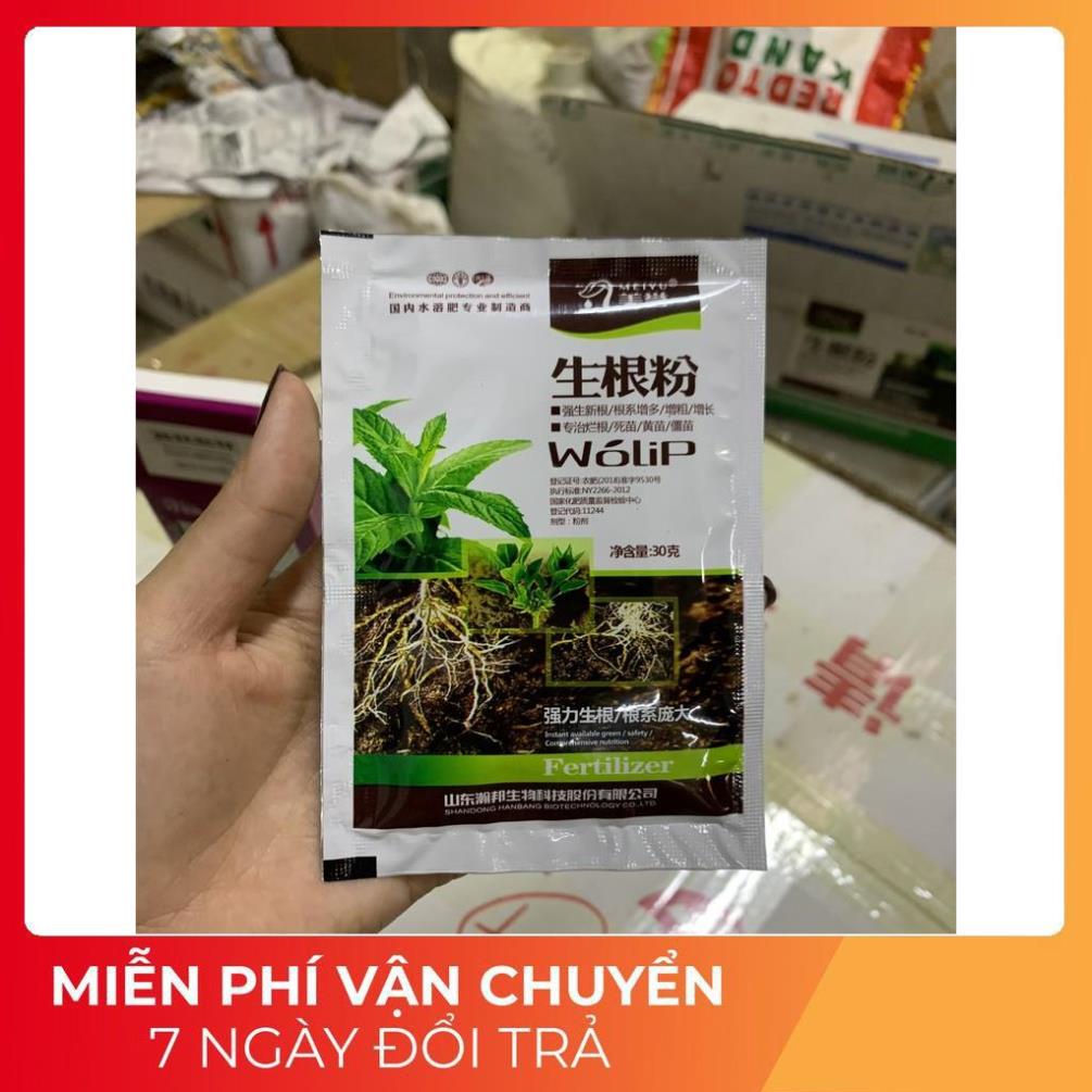 [SALE] Kích Siêu Kích rễ WOLIP -Tặng Kèm Phân Bón | Shopee Việt Nam