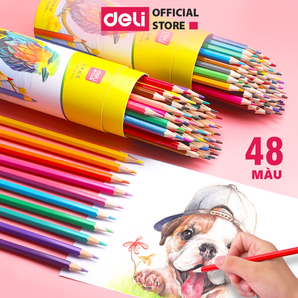 Bút chì màu dạng cốc Deli - bút chì gỗ khô tự nhiên an toàn - 12/24/36 ...