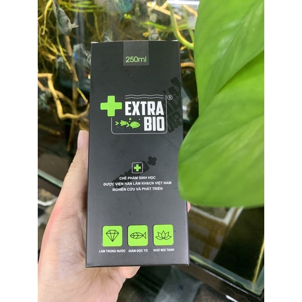 Vi sinh extrabio 125ml 250ml - Vi sinh làm trong nước hồ cá thuỷ sinh | Shopee Việt Nam