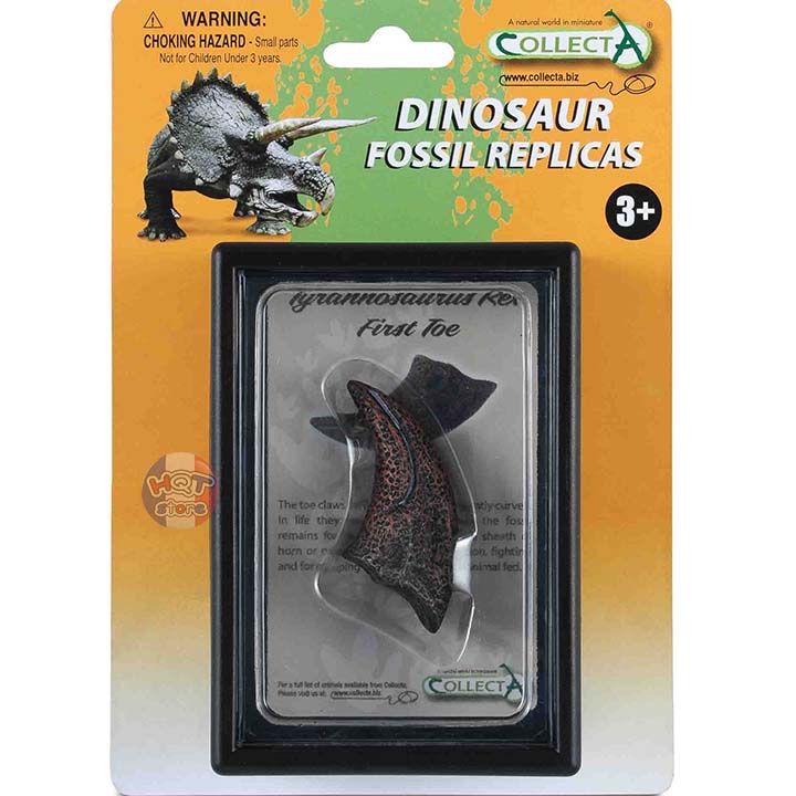 Mô hình hoá thạch móng vuốt khủng long T-Rex hãng CollectA 89280 ...