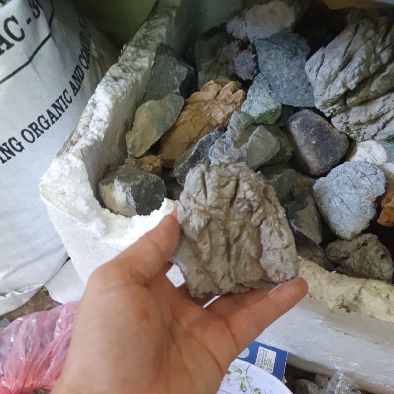 1kg Đá da voi, đá đen gia lại loại nhỏ dùng trong terrarium và thủy ...