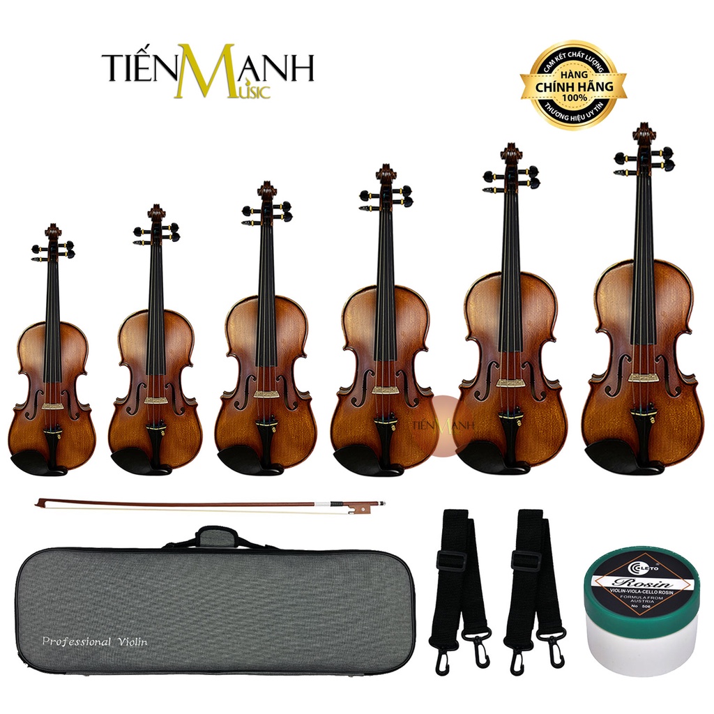 [Chính Hãng, Gỗ Thịt] Đàn Violin Amati VF300 (1969) Size 4/4, 3/4, 1/2 ...