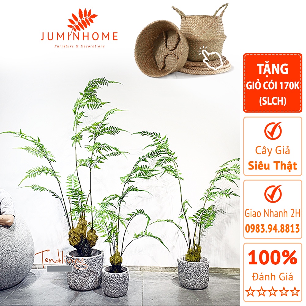 Cây dương xỉ cổ đại giả, dương xỉ lông cu li - Cây giả decor trang trí ...