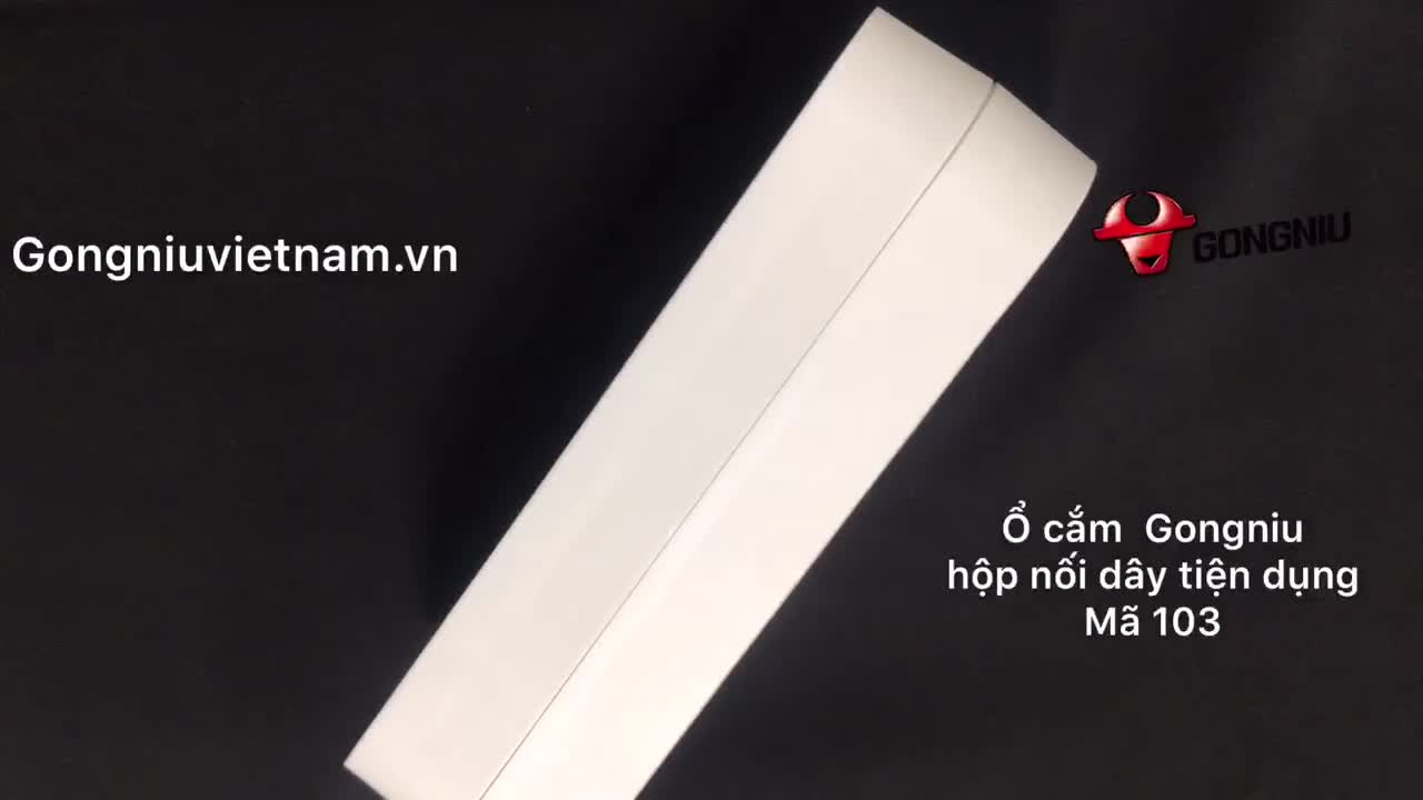 Ổ Cắm Điện Chống Cháy Gongniu 3 Ổ Mini Có Đầu Chờ Nối Dây 2500W/10A (103) - Chính Hãng | Shopee ...