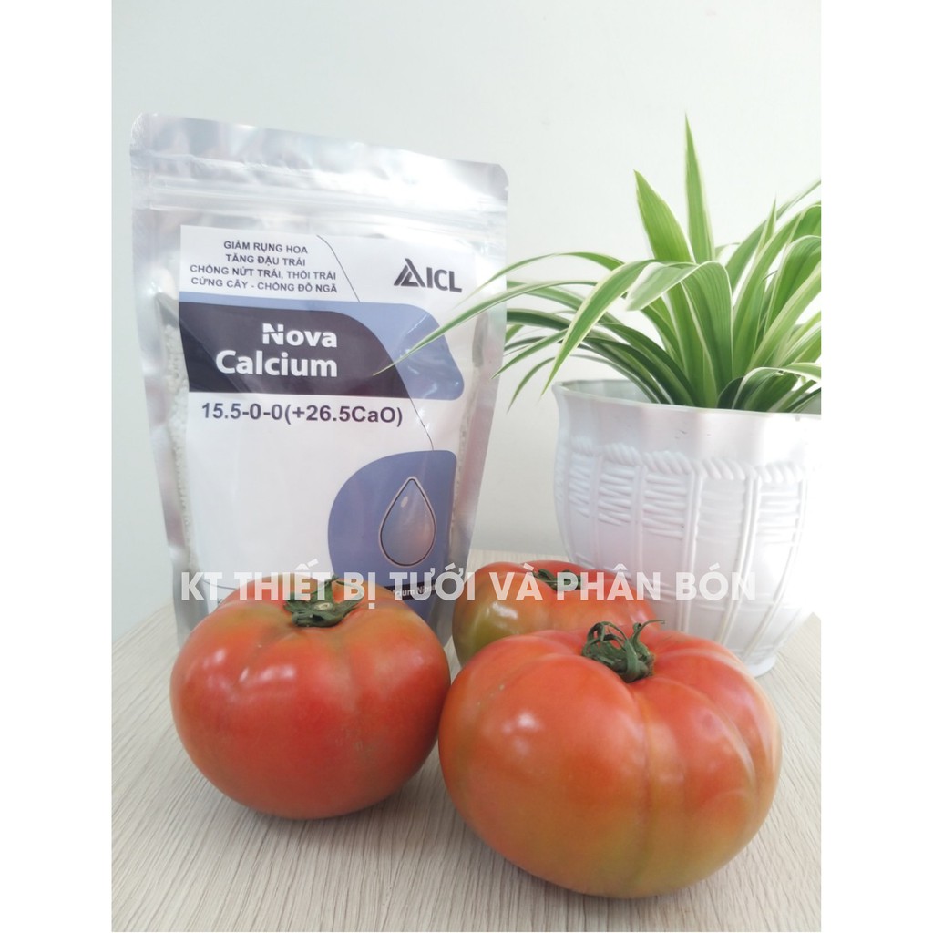 Phân bón Canxi Nitrate Nova Calcium 15.5-0-0 (+ 26.5CaO) ( 1kg/ túi ...