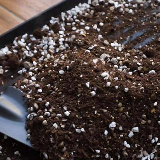 Rêu than bùn peatmoss, Peatman-đất trồng và ươm cây tốt nhất châu Âu ...