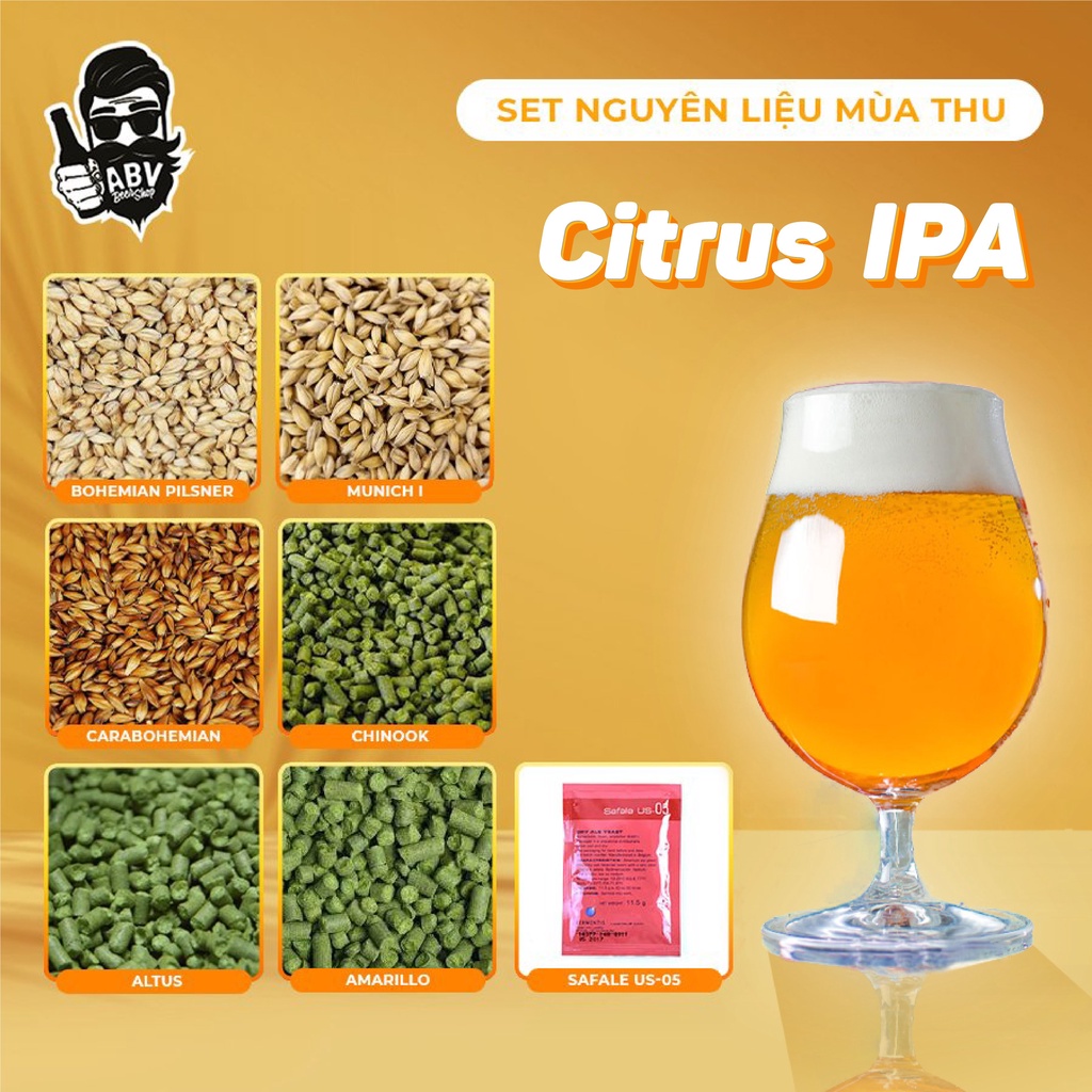Set nguyên liệu nấu bia Citrus IPA | Shopee Việt Nam