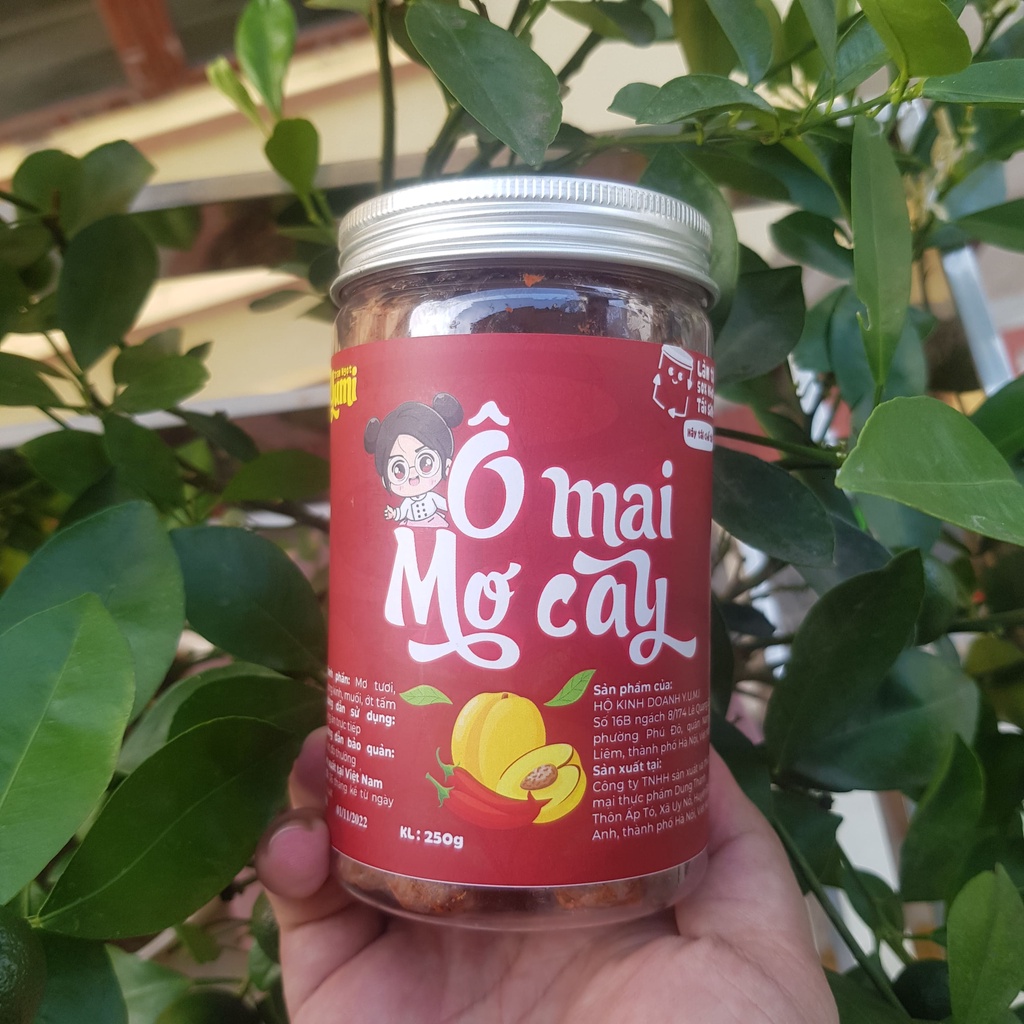 Ô mai mơ cay Trạm ngọt Yumi xí muội hoa quả khô ăn vặt trái cây thơm ...