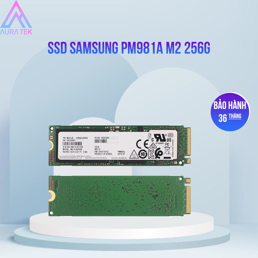 Ổ cứng SSD M2-PCIe 256GB Samsung PM981A NVMe 2280 (OEM Samsung 970 EVO Plus) | Shopee Việt Nam