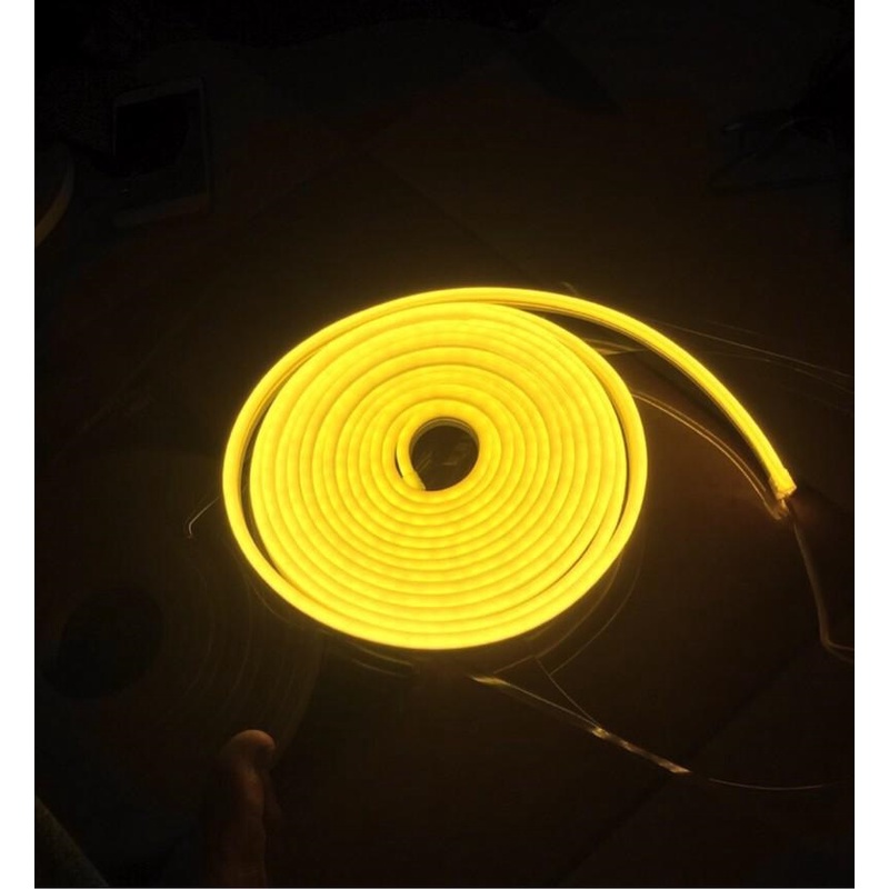 LED DÂY NEON 2835 12VDC 5 MÉT MÀU VÀNG (DL) | Shopee Việt Nam