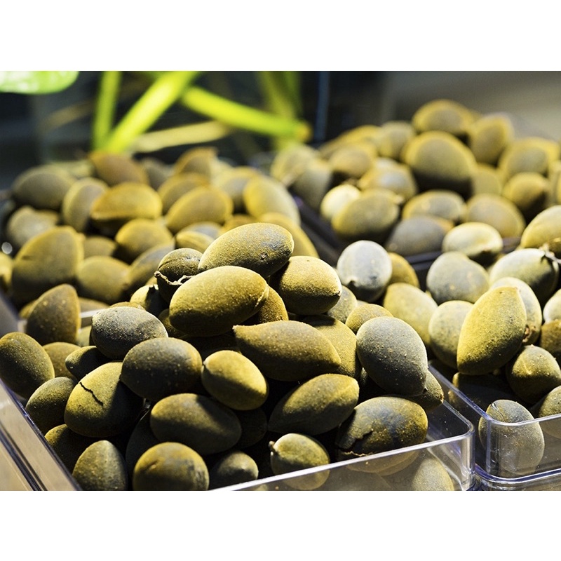 trái say nhung | Shopee Việt Nam