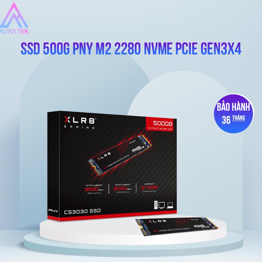 Ổ Cứng SSD 500G PNY M2 2280 NVMe PCIe Gen3x4 - Hàng Chính Hãng | Shopee Việt Nam