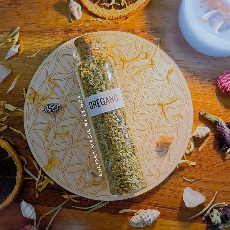 (40 loại) LỌ THẢO MỘC WITCHCRAFT | Lọ hoa khô trang trí - Handmade ...