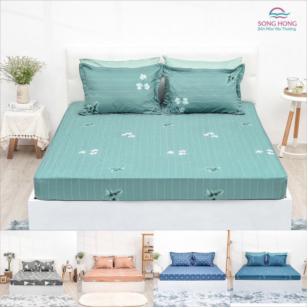 Bộ ga chun +Ga chun( Không chần) Cotton SÔNG HỒNG 2.0X2,2m | Shopee Việt Nam