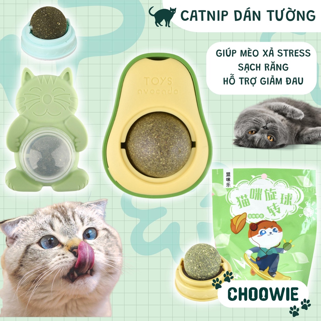 Cỏ mèo dán tường Catnip mèo đồ chơi cho mèo giúp mèo xả stress Choowie ...