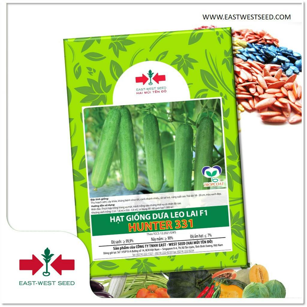 GÓI 10g (KHOẢNG 350 HẠT) HẠT GIỐNG DƯA LEO LAI F1 HUNTER 331 CỦA EAST-WEST SEED (HAI MŨI TÊN ĐỎ ...