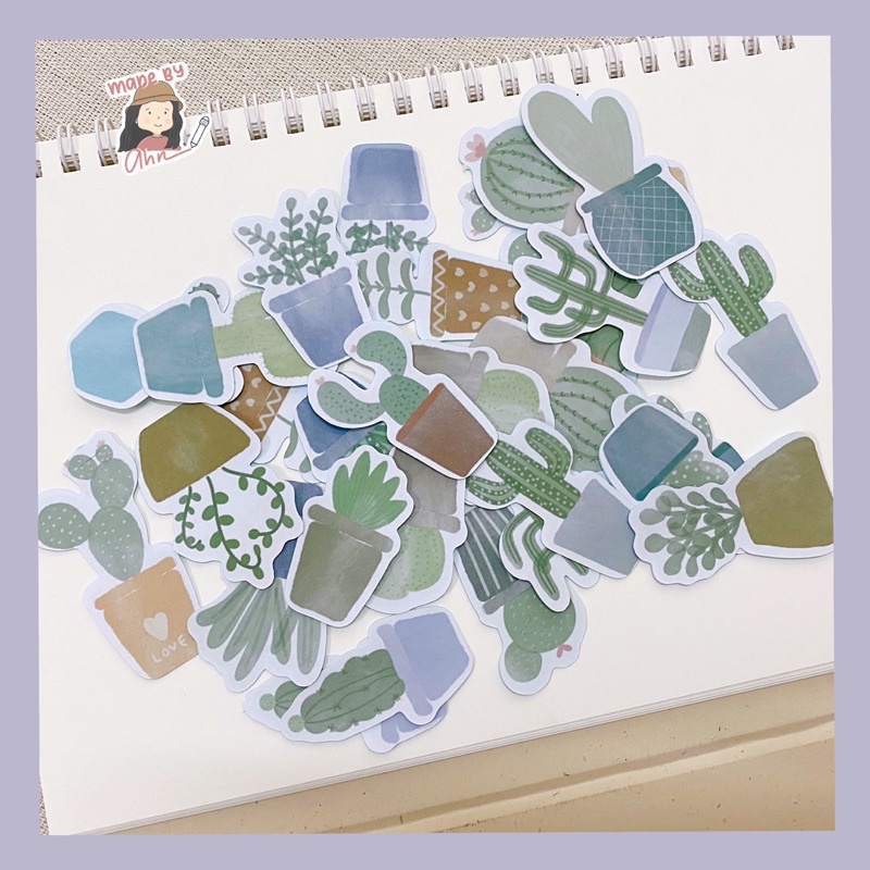 Set 30 Sticker cây xương rồng trang trí sổ tay, Bullet Journal - MADE ...