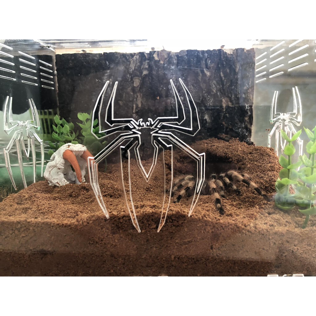 Hộp Nuôi Nhện Cao Cấp 25-20-20 (tank tarantula) | Shopee Việt Nam
